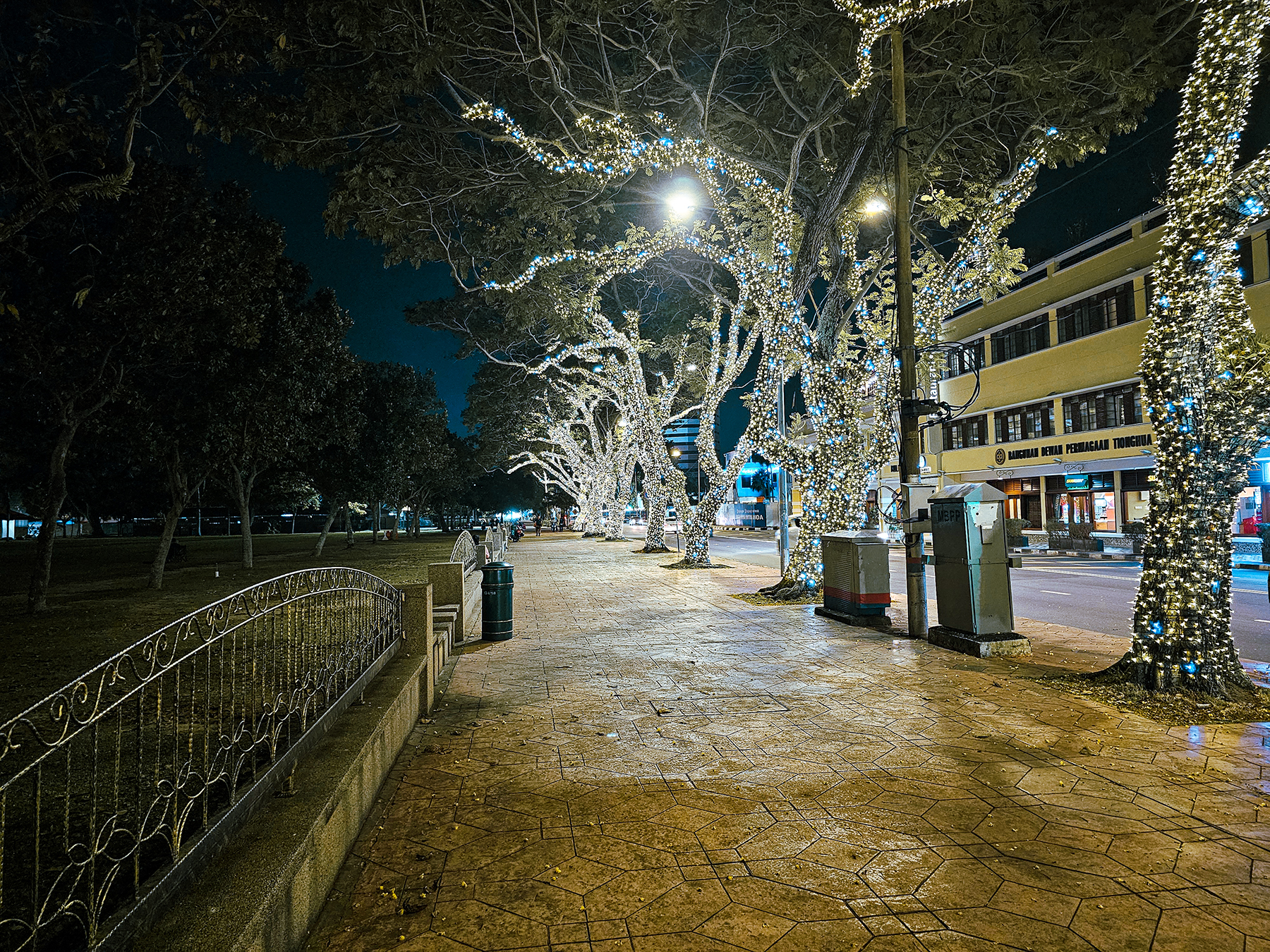 Light Street View: Esplanade Trees Decorations - Travel 2 Penang