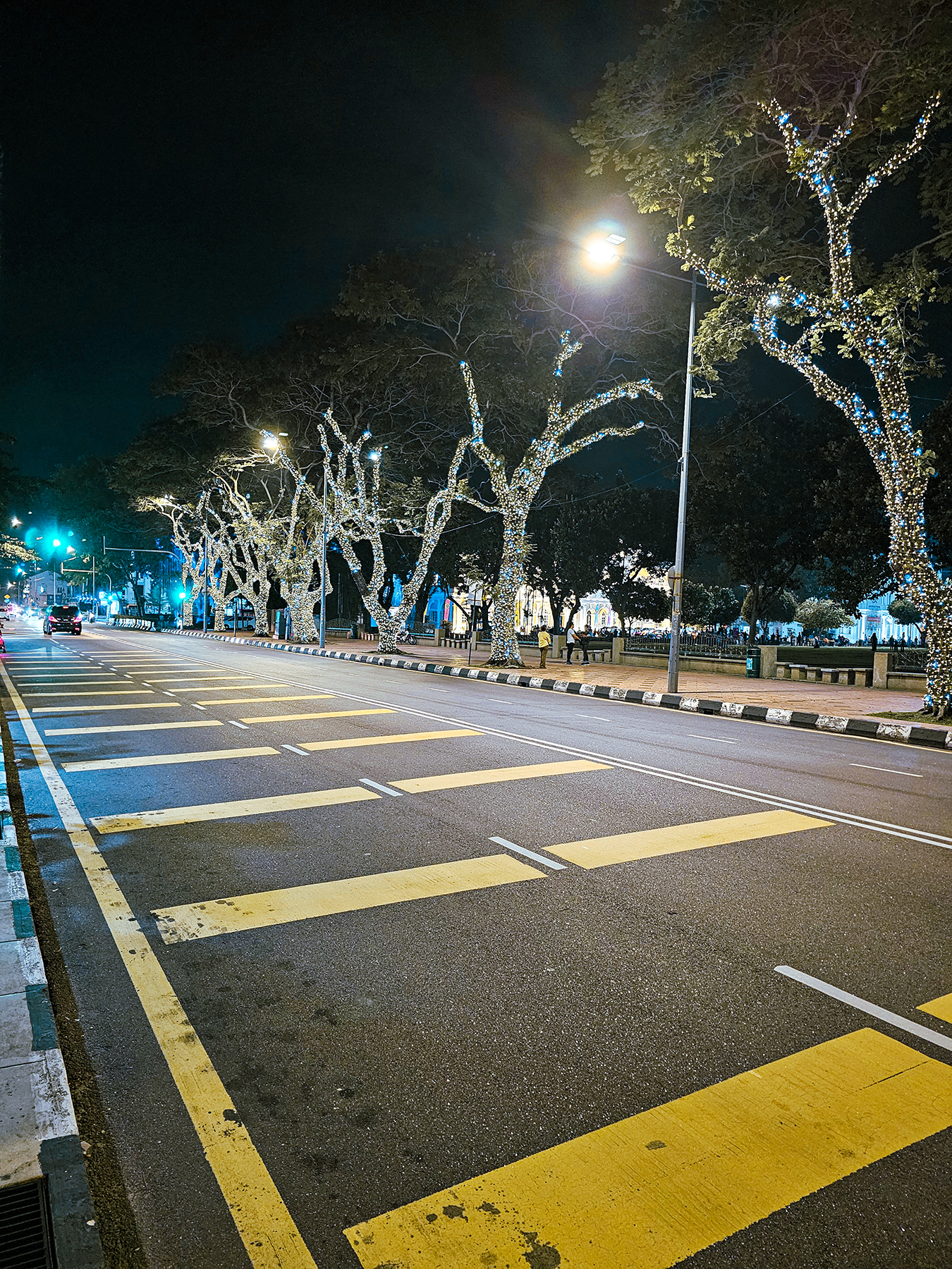 Light Street View: Esplanade Trees Decorations - Travel 2 Penang